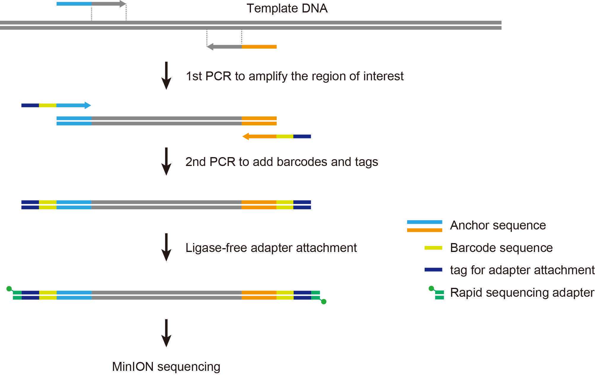 干货分享丨靶向测序 tNGS 技术简介 - 企业动态 - 丁香通