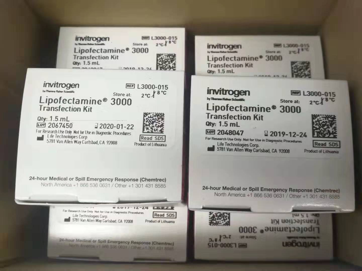 Invitrogen货号L3000-008现货Lipo 3000转染试剂13611631389上海睿安生物价格_品牌:Invitrogen-丁香通