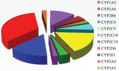 IPHASE/汇智和源人CYP450酶诱导mRNA水平检测试剂盒（SYBR法）研发成功-公司新闻-汇智和源生物技术（苏州）有限公司