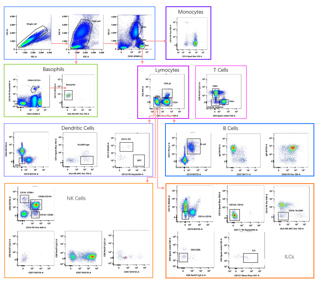 行健雅实例分享 | 人外周血主要细胞亚群免疫表型分析的 25 色方案 - 企业动态 - 丁香通