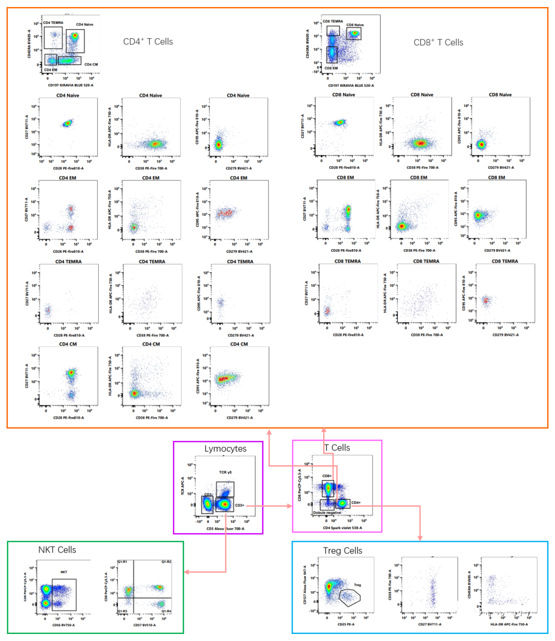 行健雅实例分享 | 人外周血主要细胞亚群免疫表型分析的 25 色方案 - 企业动态 - 丁香通