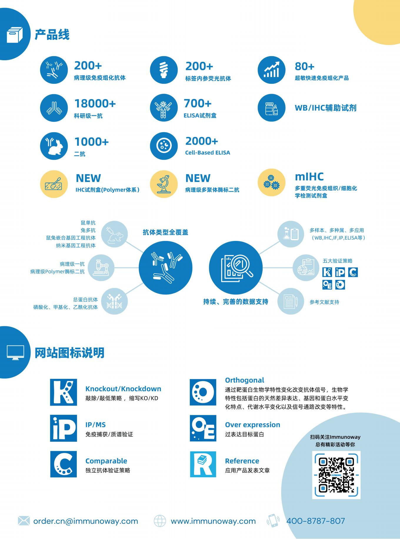 Immunoway全线买二送一 - 试剂 - 丁香通