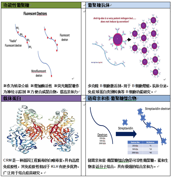 Fina Biosolutions 中国区授权总代理-公司新闻-北京博蕾德生物科技有限公司