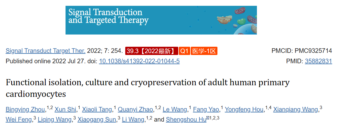 IF39.3|人原代心肌细胞分离、培养、冻存条件优化 - 企业动态 - 丁香通