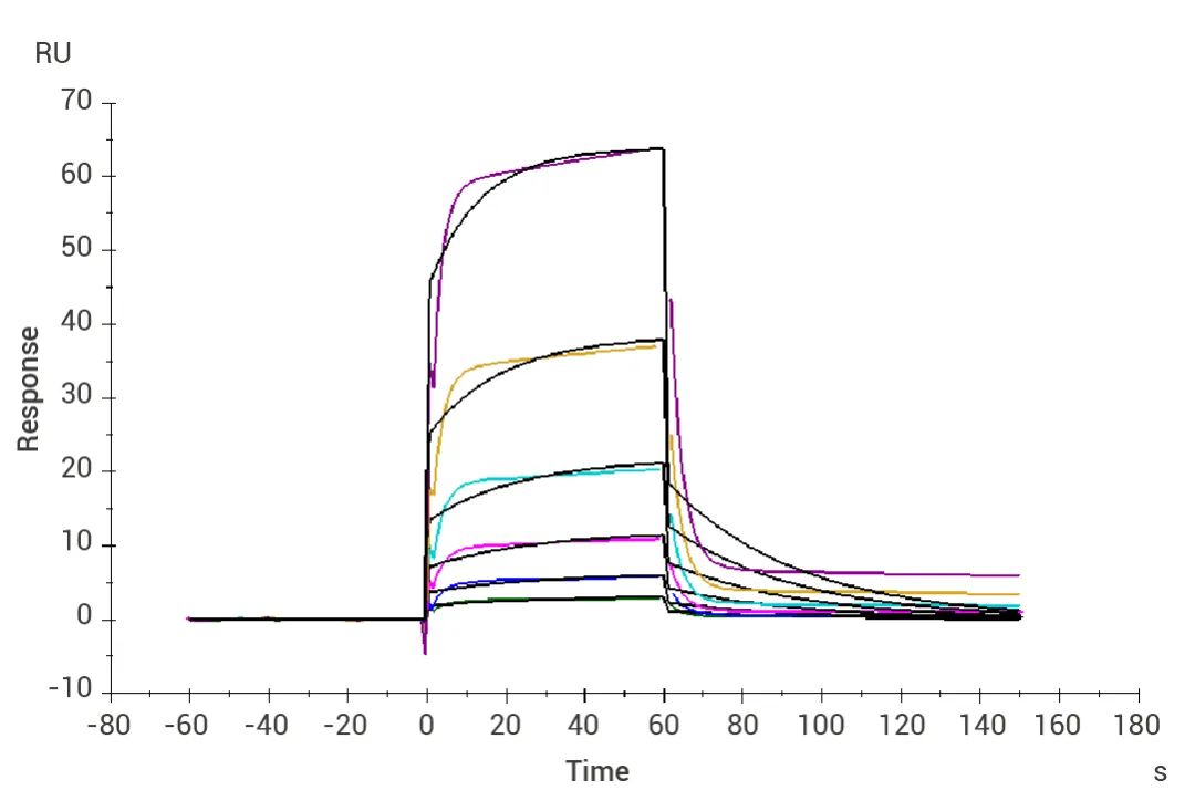 SPR 检测服务强势上线！｜MedChemExpress (MCE)-技术文章-MedChemExpress