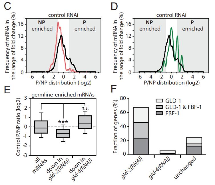 Nucleic Acids Res. | 转录后调控机制研究中Polysome profiling和RNAseq的联合应用-公司新闻-广州卿泽 ...