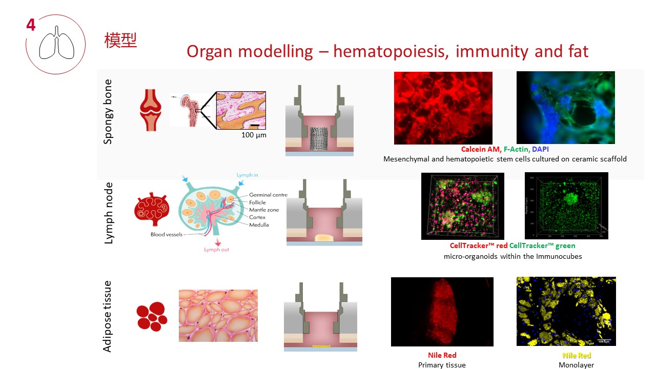 类器官培养系统—HUMIMIC价格_品牌:TissUse-丁香通