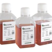 Corning 康宁 35-081-CV 新西兰胎牛血清FBS 500ml价格_品牌:康宁-丁香通