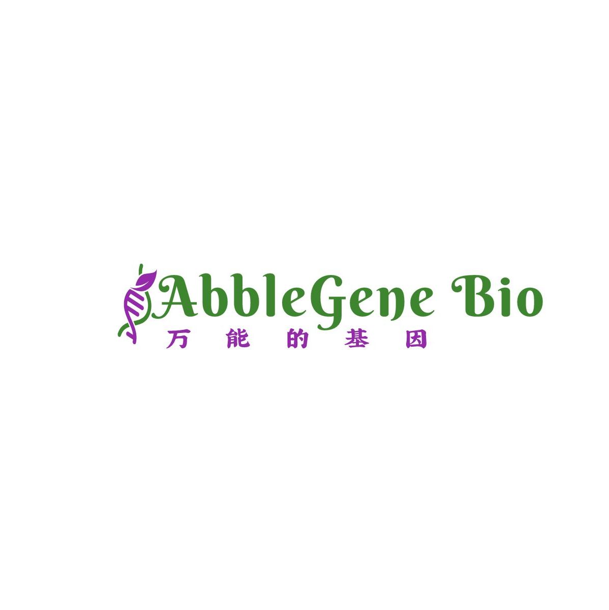 Human CRISPR Knockout Pooled Library (GeCKO v2) A/B价格_品牌:AbbleGene-丁香通官网