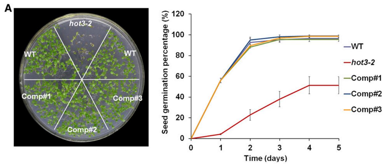 The Plant Cell. | 热胁迫反应中Polysome profiling技术的应用研究-公司新闻-广州卿泽生物科技有限公司