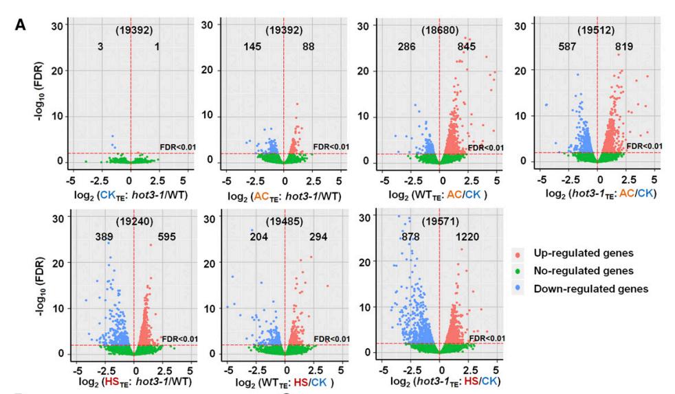 The Plant Cell. | 热胁迫反应中Polysome profiling技术的应用研究-公司新闻-广州卿泽生物科技有限公司