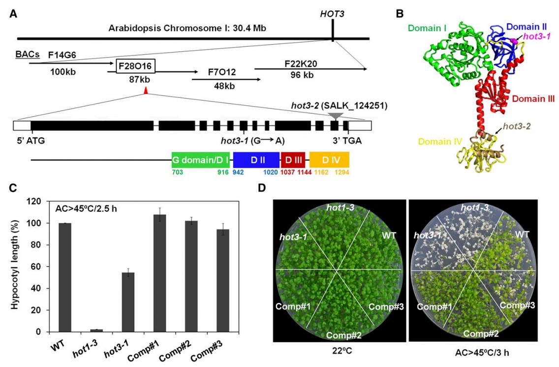 The Plant Cell. | 热胁迫反应中Polysome profiling技术的应用研究-公司新闻-广州卿泽生物科技有限公司