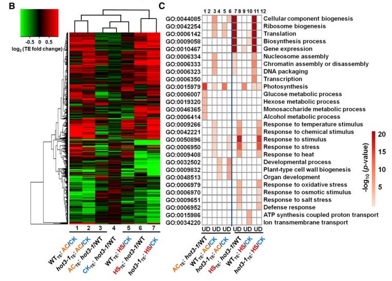 The Plant Cell. | 热胁迫反应中Polysome profiling技术的应用研究-公司新闻-广州卿泽生物科技有限公司
