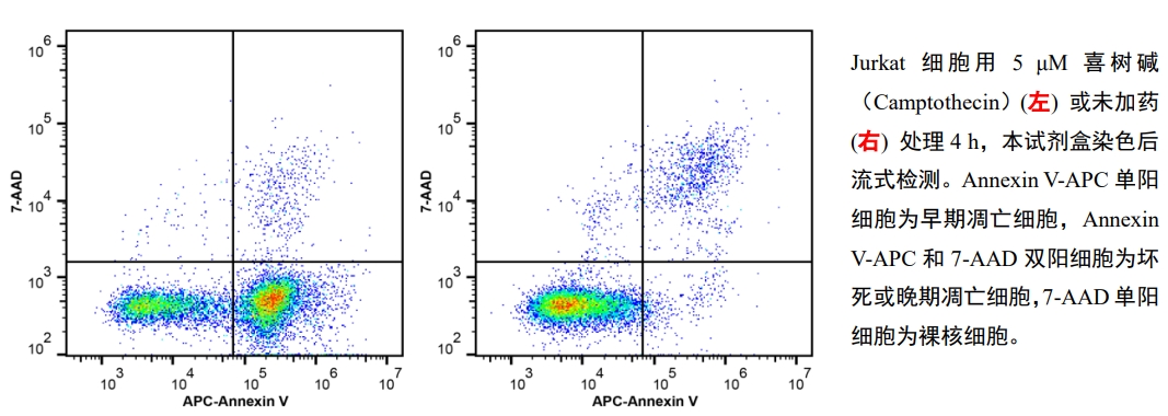 Annexin V-APC / 7-AAD细胞凋亡检测试剂盒价格_品牌:Elabscience-丁香通官网