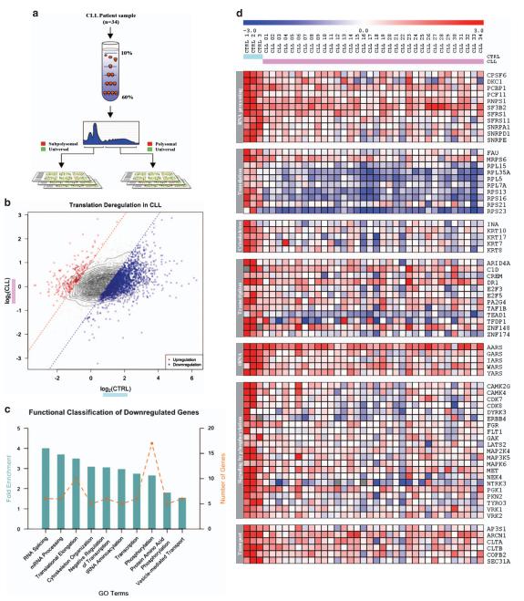血细胞中Polysome profiling的分析研究 - 企业动态 - 丁香通