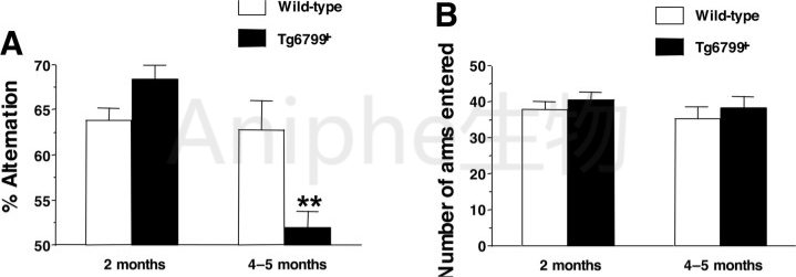 5×FAD五转基因小鼠（C57BL/6背景）-江苏艾菱菲生物科技有限公司