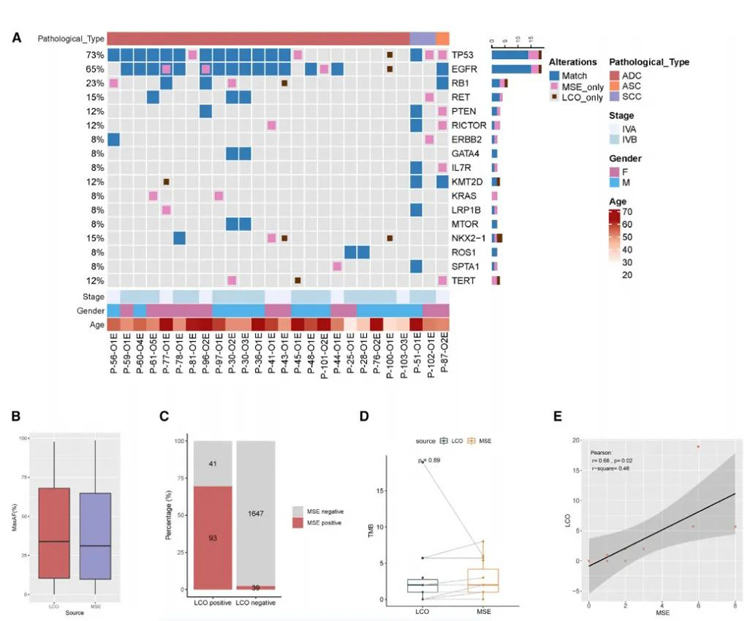 IF=16.988丨Cell Rep Med：利用患者来源的类器官预测局部晚期肺癌或转移性肺癌的肿瘤反应：一项真实世界研究-公司新闻-杭州环特 ...