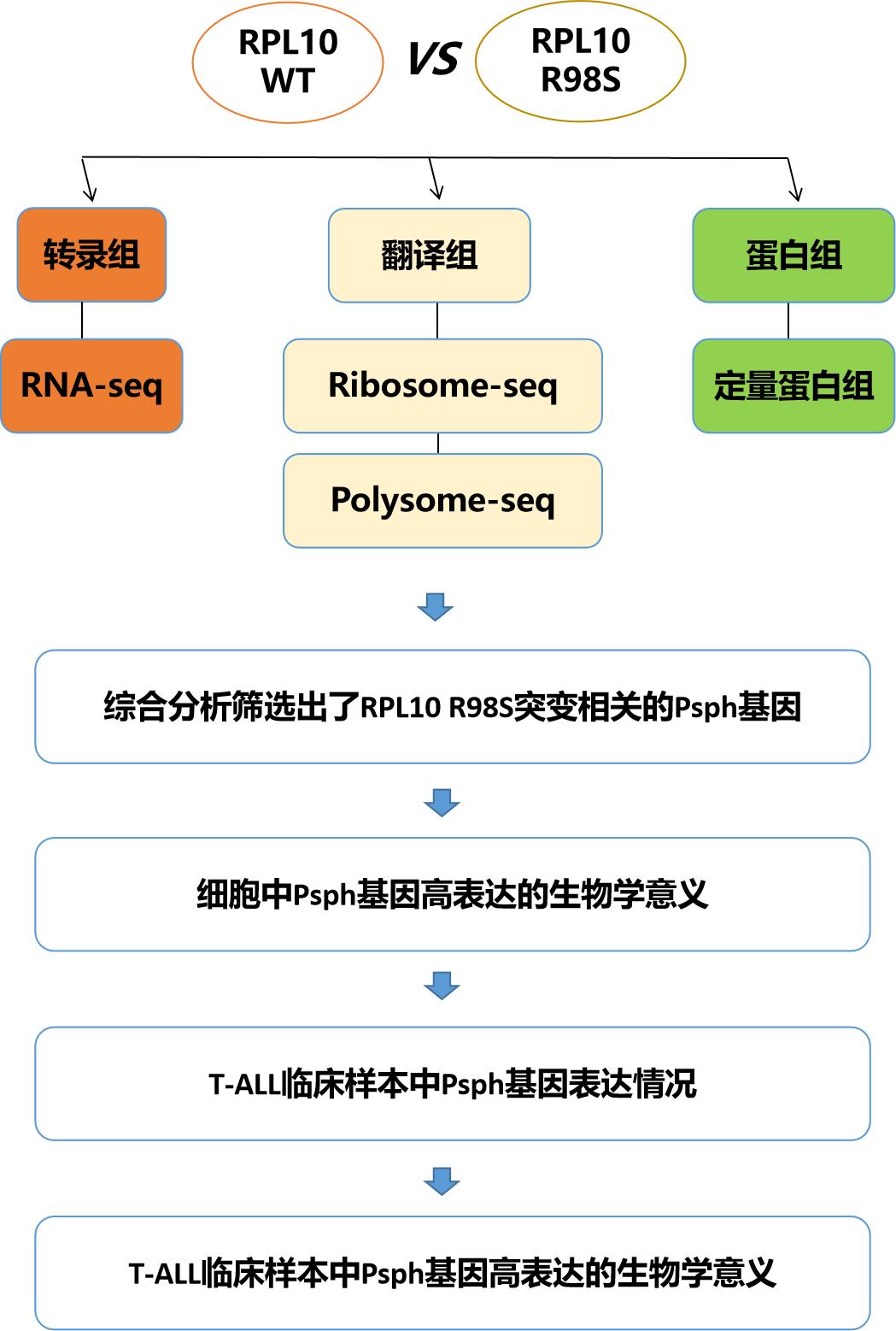 Nat Commun. | T-ALL中转录组+翻译组+蛋白组的联合研究-公司新闻-广州卿泽生物科技有限公司