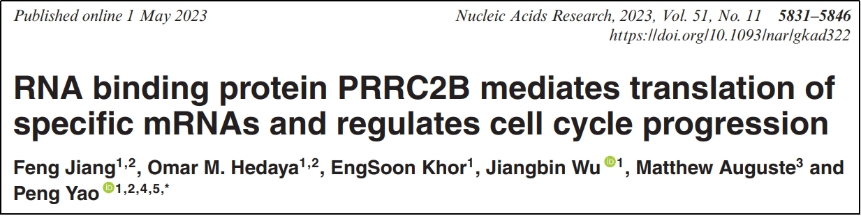 Nucleic Acids Res. | RNA结合蛋白功能研究中Polysome profiling技术的应用-公司新闻-广州卿泽生物科技有限公司
