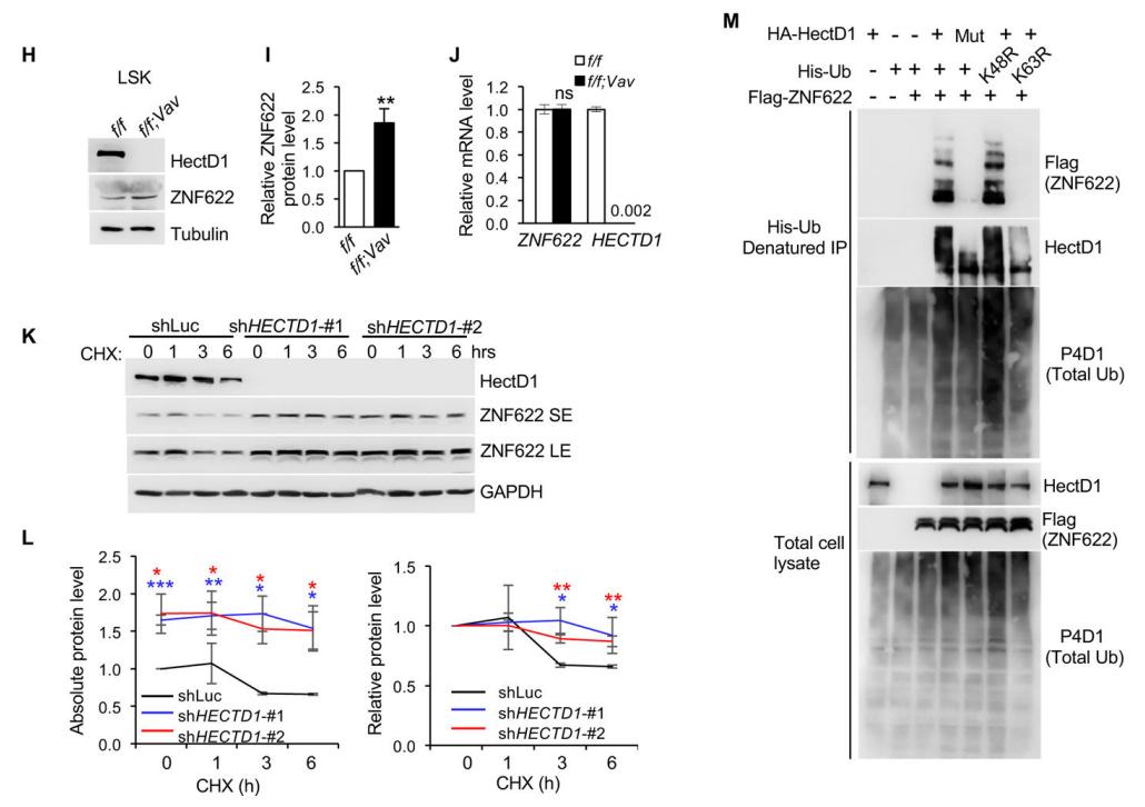 Cell Stem Cell. |造血干细胞再生研究中Polysome profiling技术应用-公司新闻-广州卿泽生物科技有限公司