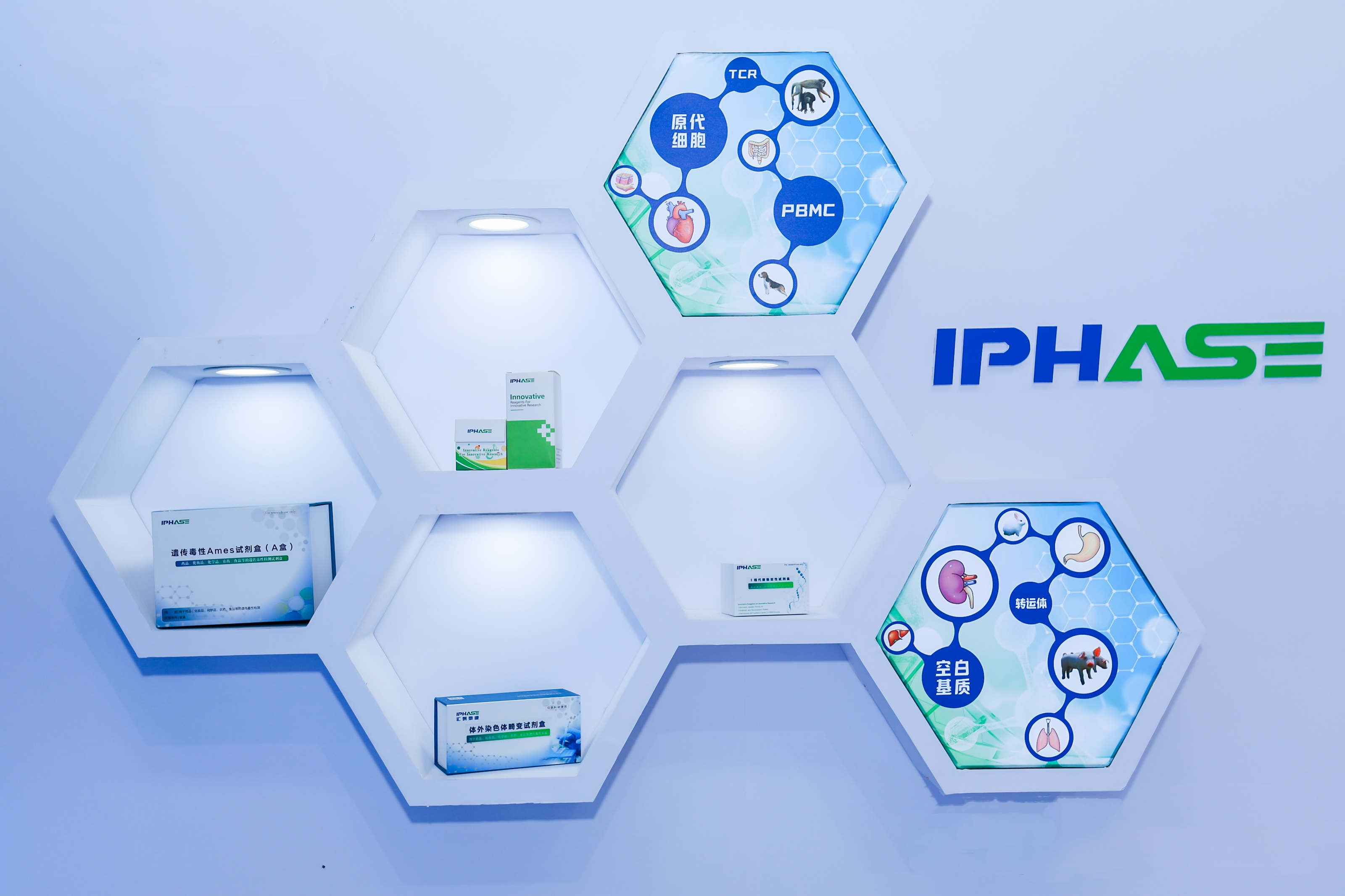 IPHASE核心产品重拳出击，第九届易贸生物产业大会大放异彩！-公司新闻-汇智和源生物技术（苏州）有限公司