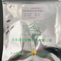 献给初学者：Q-PCR 计算看这一篇就够了-丁香实验