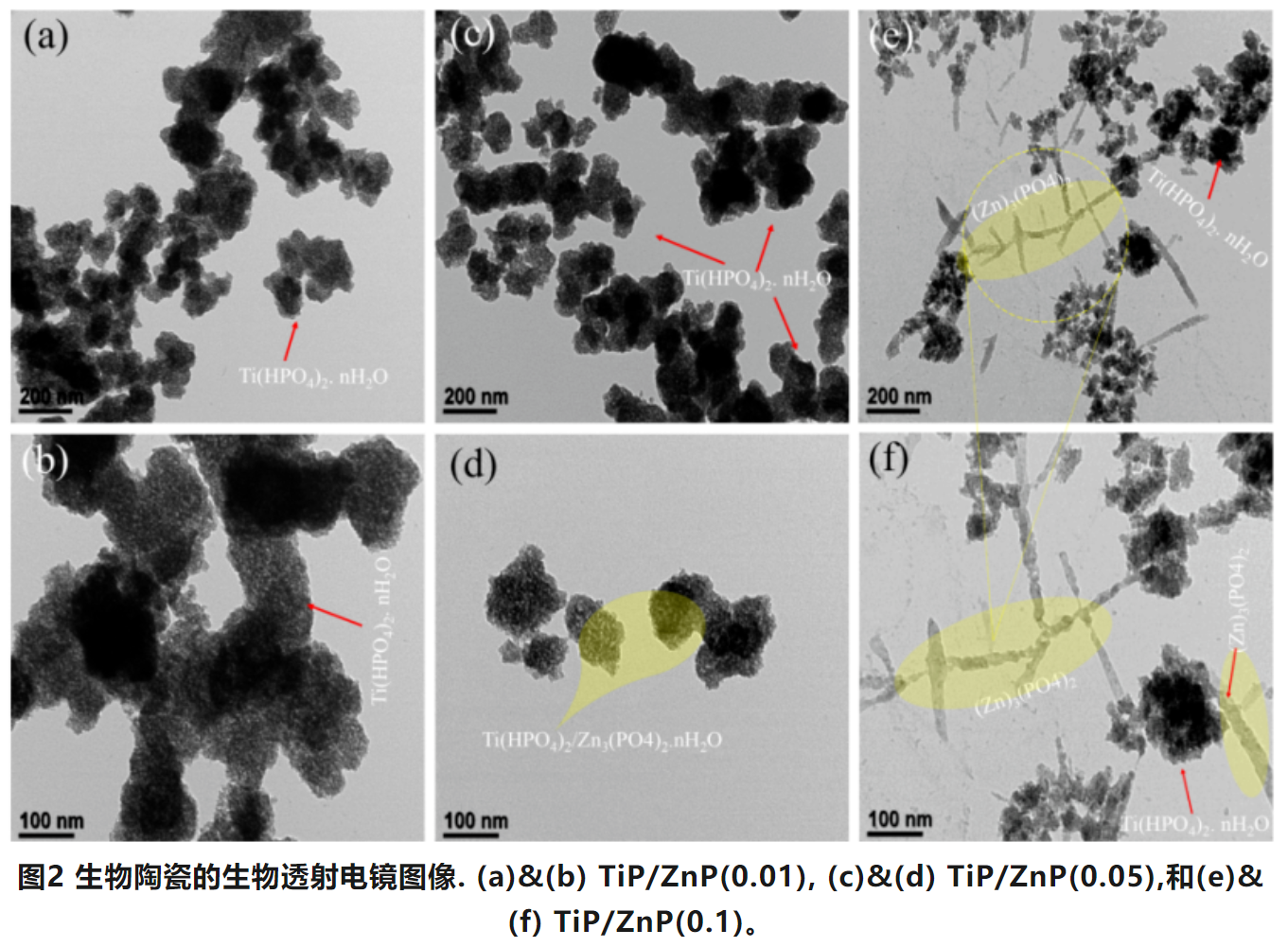 Chemical Engineering Journal （IF=15.1）磷酸锌掺入Ti(HPO4)2水合物的微纳米多孔结构生物陶瓷促进骨质 ...