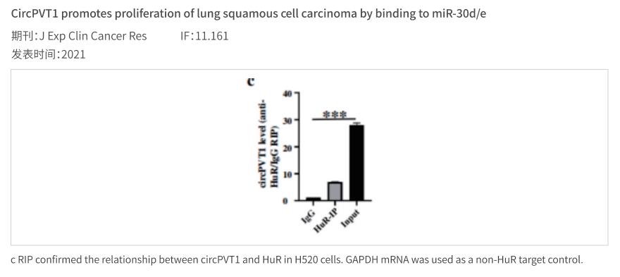 RNA结合蛋白免疫沉淀RIP/RIP-seq/Ago2-RIP/RIP-q-PCR价格-丁香通