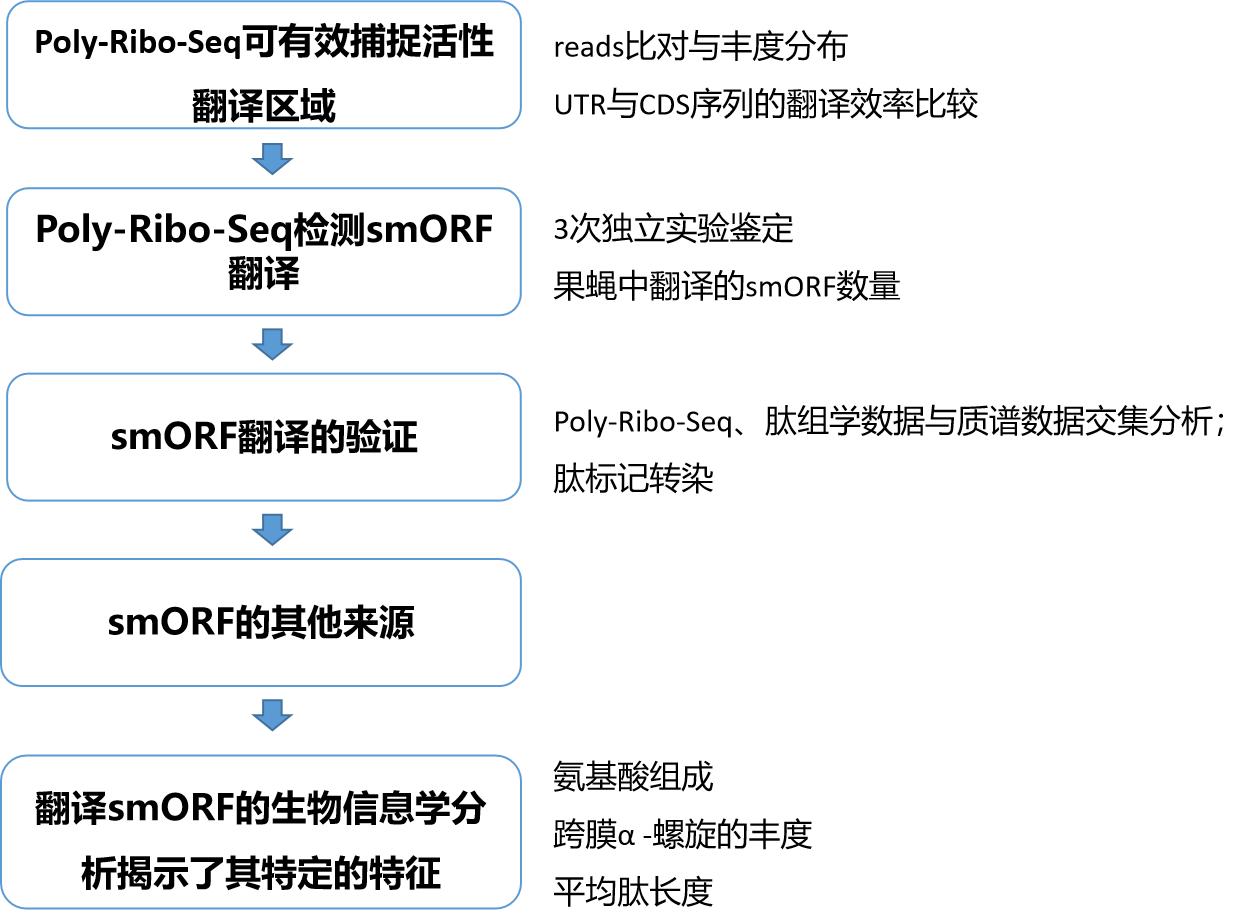 eLIFE. | Poly-Ribo-Seq技术揭示了小开放阅读框的广泛翻译-公司新闻-广州卿泽生物科技有限公司