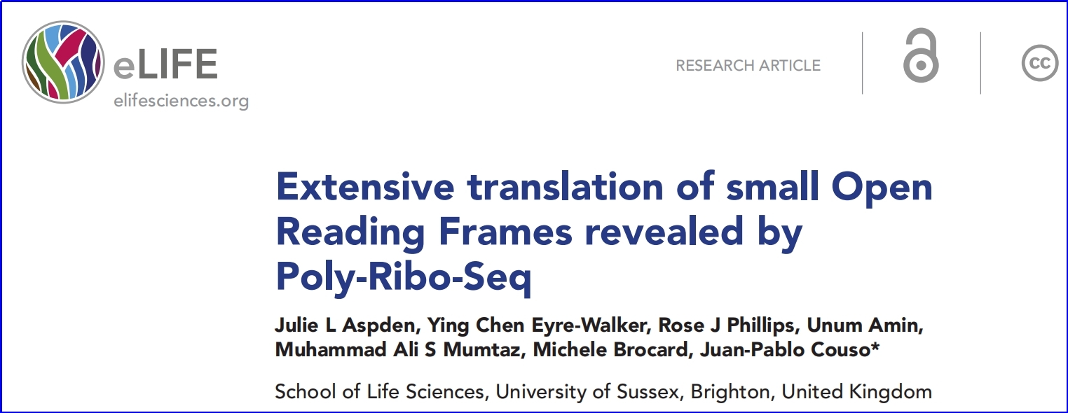 eLIFE. | Poly-Ribo-Seq技术揭示了小开放阅读框的广泛翻译 - 企业动态 - 丁香通