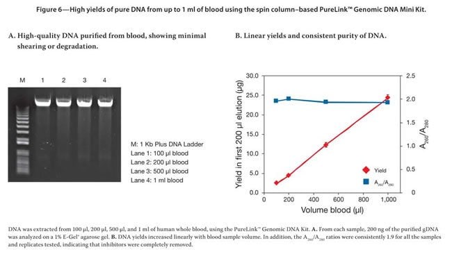 Invitrogen™ PureLink™ Genomic DNA Mini Kit K182001价格_品牌:Invitrogen-丁香通