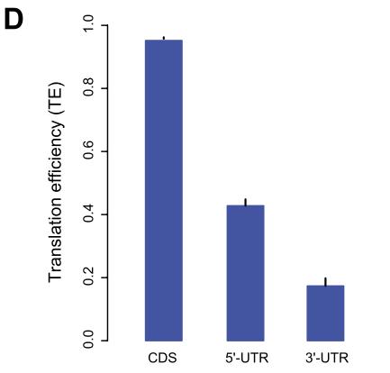 eLIFE. | Poly-Ribo-Seq技术揭示了小开放阅读框的广泛翻译-公司新闻-广州卿泽生物科技有限公司