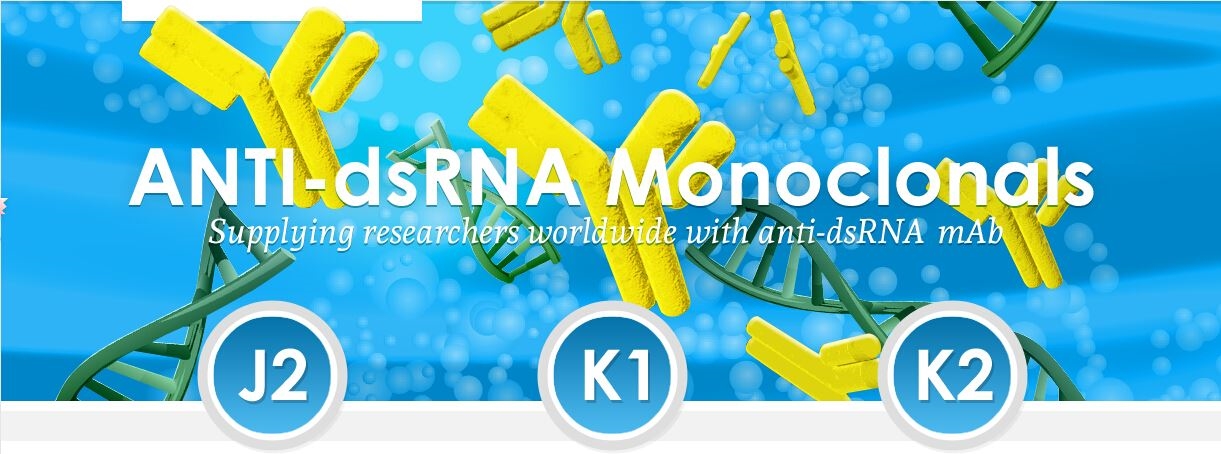 dsRNA Detection Kit (J2 based) 双链RNA抗体检测试剂盒价格_品牌:SCICONS-丁香通