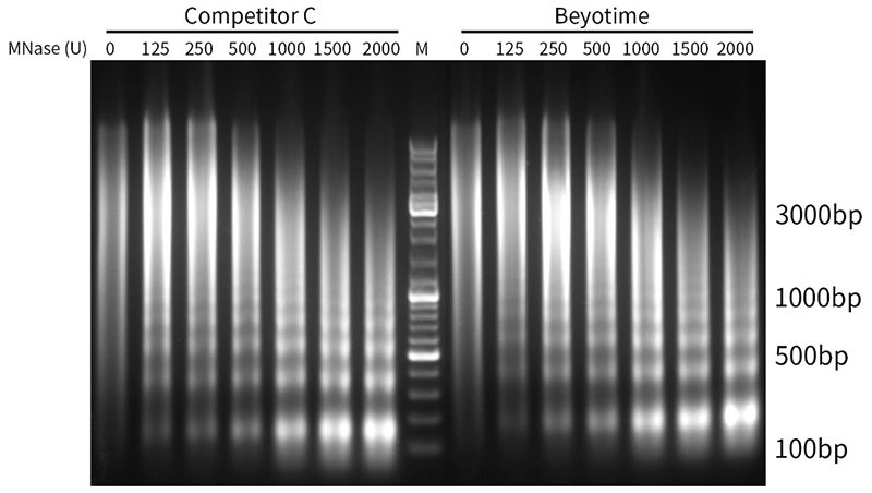 0.5M DTT (DNase, RNase & Protease free)价格_品牌:碧云天（beyotime）-丁香通官网