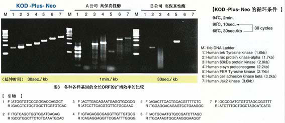 TOYOBO货号KOD-401现货KOD-Plus-Neo上海睿安生物13611631389价格_品牌:TOYOBO-丁香通