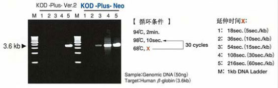 TOYOBO货号KOD-401现货KOD-Plus-Neo上海睿安生物13611631389价格_品牌:TOYOBO-丁香通