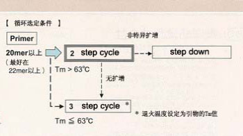 TOYOBO货号KOD-401现货KOD-Plus-Neo上海睿安生物13611631389价格_品牌:TOYOBO-丁香通