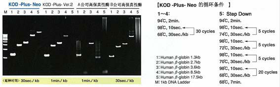 TOYOBO货号KOD-401现货KOD-Plus-Neo上海睿安生物13611631389价格_品牌:TOYOBO-丁香通
