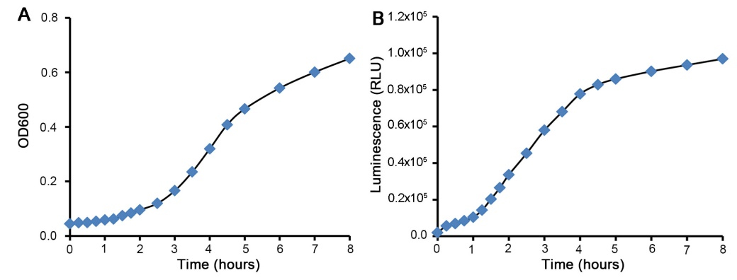 BacTiter-Lumi™发光法微生物细胞活力检测试剂盒价格_品牌:碧云天（beyotime）-丁香通官网