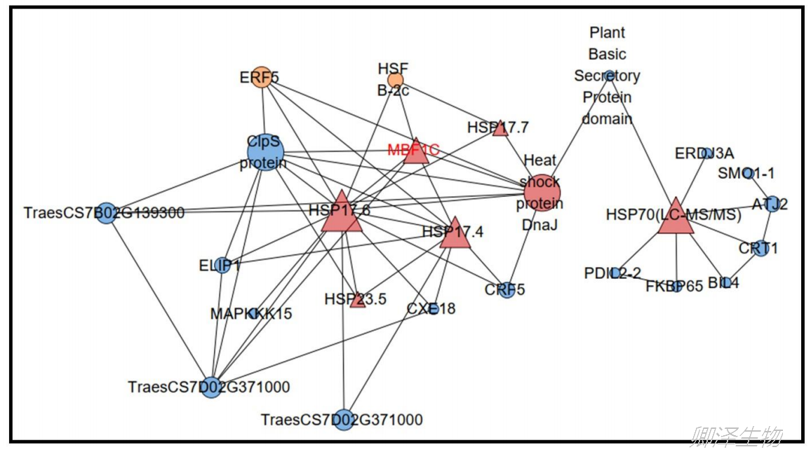 New Phytol. | 小麦育种研究中Polysome profiling技术应用-公司新闻-广州卿泽生物科技有限公司