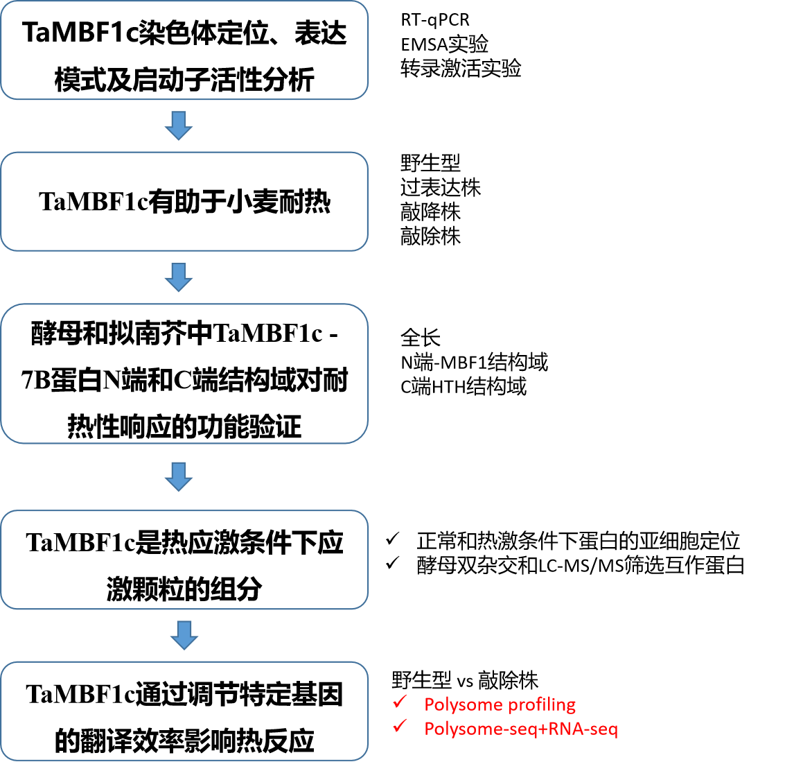 New Phytol. | 小麦育种研究中Polysome profiling技术应用-公司新闻-广州卿泽生物科技有限公司