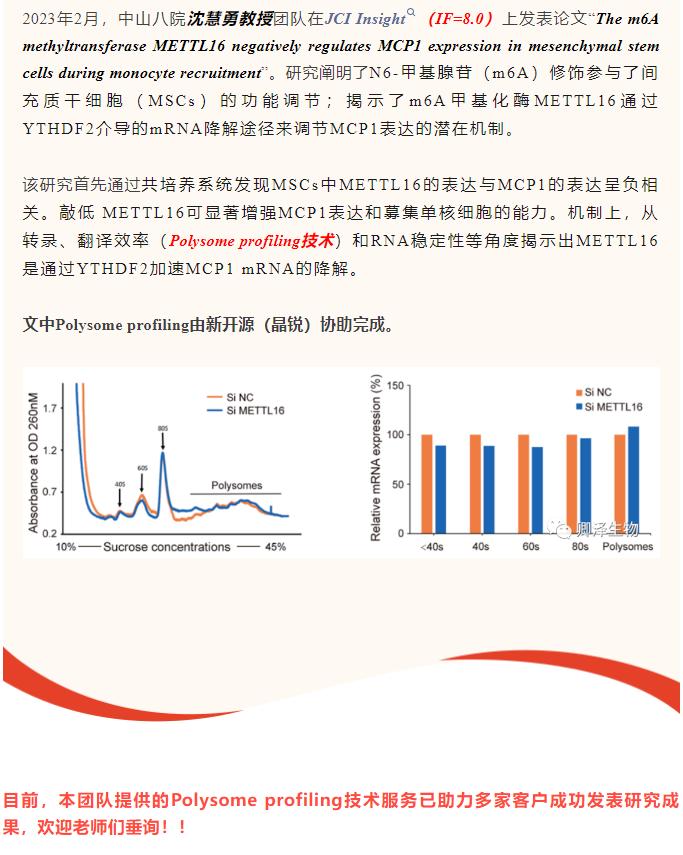 再传捷报 | Polysome profiling技术助力客户发表高分文章 - 企业动态 - 丁香通