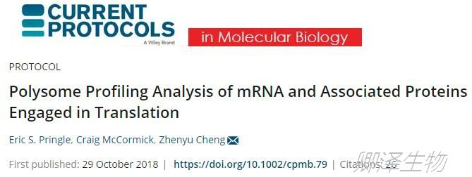 干货来了，Polysome分离后做qPCR如何设置参照?-公司新闻-广州卿泽生物科技有限公司