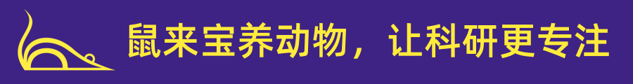 SNCA*A53T小鼠价格_品牌:鼠来宝-丁香通官网
