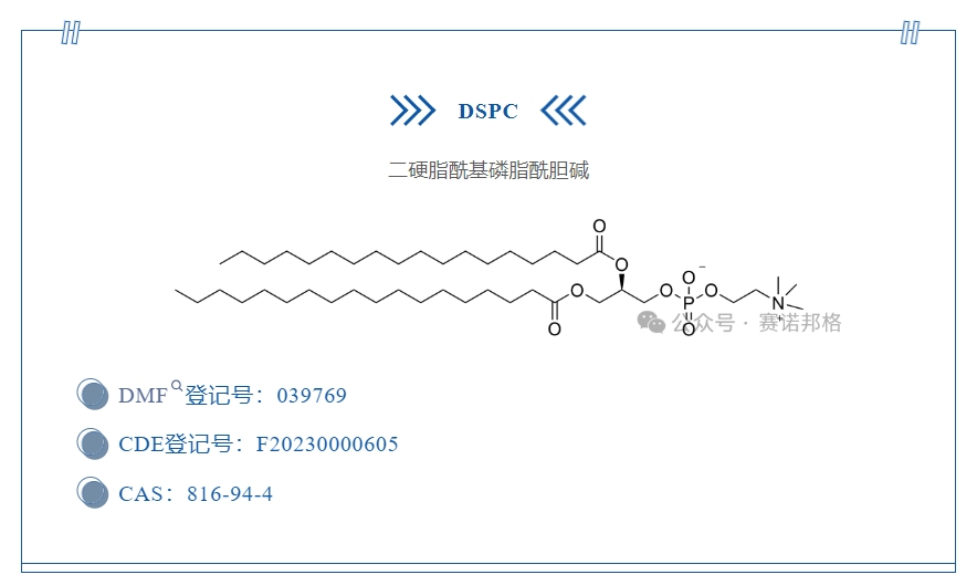 喜报！赛诺邦格DSPC顺利完成FDA DMF备案-公司新闻-厦门赛诺邦格生物科技股份有限公司