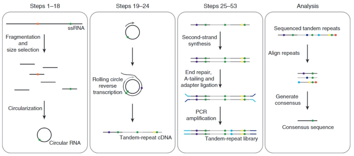 干货│T4 RNA Ligase 1：RNA研究的多功能粘合剂 - 企业动态 - 丁香通