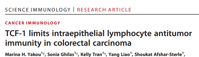 Sci Immunol | 流式细胞术+单细胞测序+多重荧光免疫组化多组学联用发现上皮内淋巴细胞（IEL）抗肿瘤反应潜在靶点 - 企业动态 - 丁香通