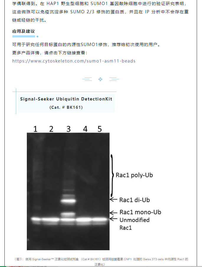 Signal-Seeker产品系列——PTM检测工具倾情大促!-公司新闻-博奥派克生物