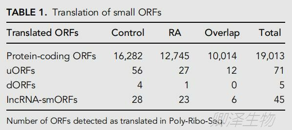 RNA. | Poly-Ribo-Seq技术揭示在人类神经元分化过程中lncRNA的翻译-公司新闻-广州卿泽生物科技有限公司