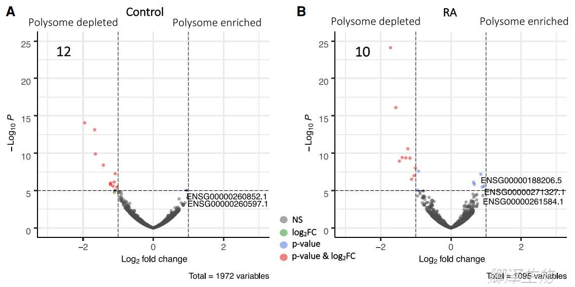 RNA. | Poly-Ribo-Seq技术揭示在人类神经元分化过程中lncRNA的翻译-公司新闻-广州卿泽生物科技有限公司